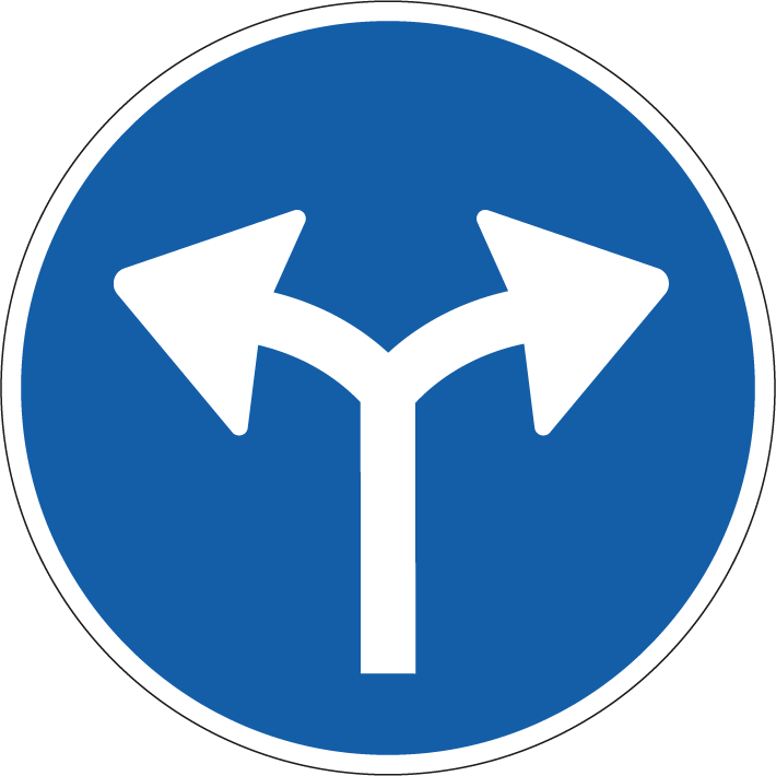 Alle verkeersborden met betekenis in een overzicht zien? - ESVSHOP BV